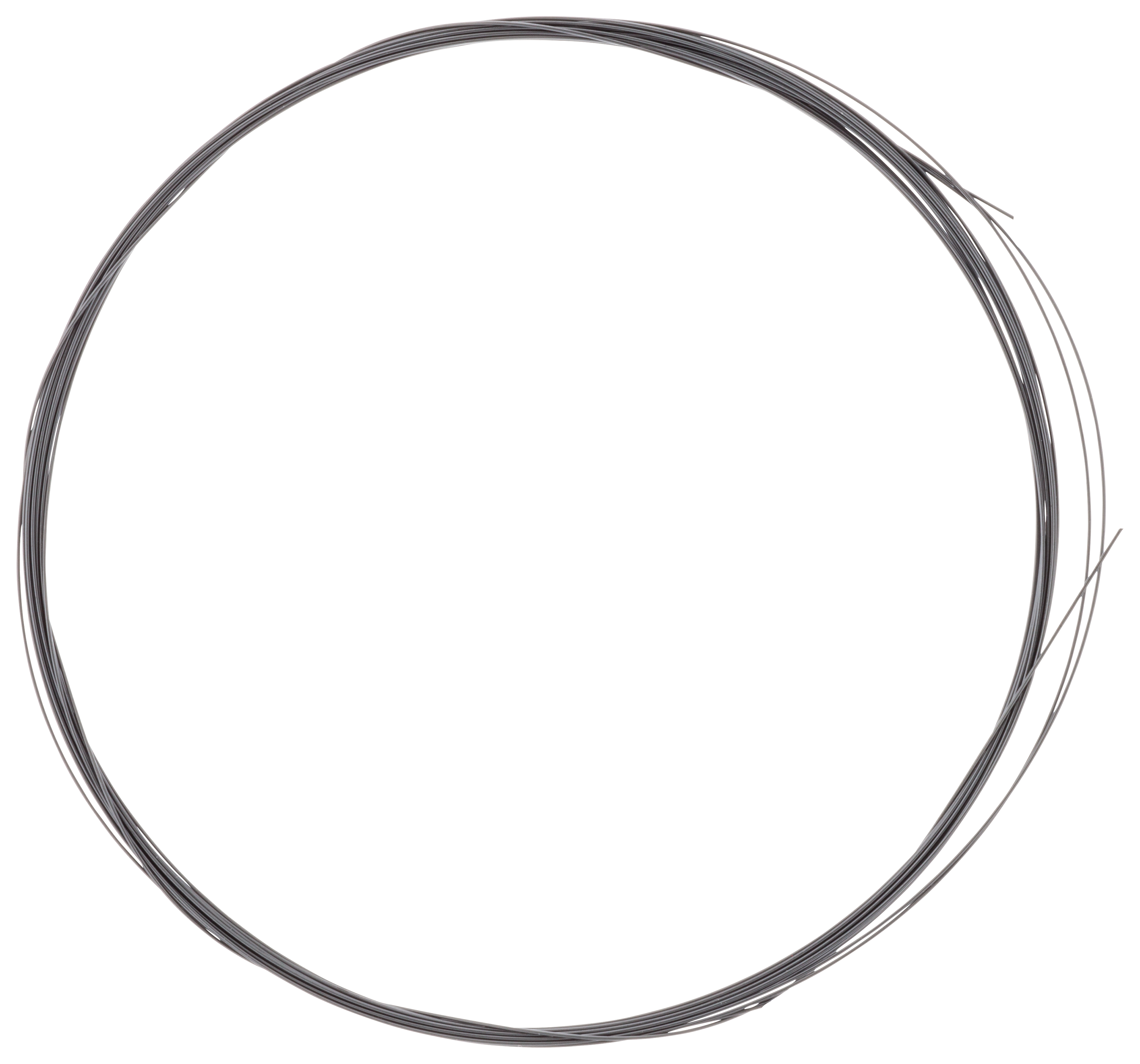 Bass Pro Shops XPS Single Strand Titanium Wire - 30 lb. test ...